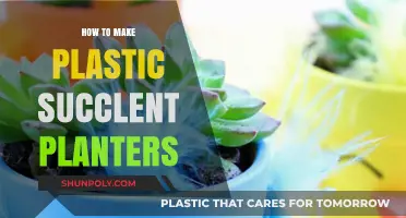 Crafting Eco-Friendly Plastic Succulent Planters: A Creative Diy Guide ...