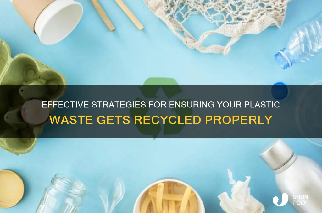 Effective Strategies For Ensuring Your Plastic Waste Gets Recycled ...