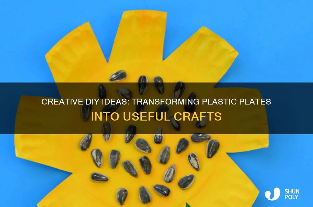 Creative Diy Ideas: Transforming Plastic Plates Into Useful Crafts ...
