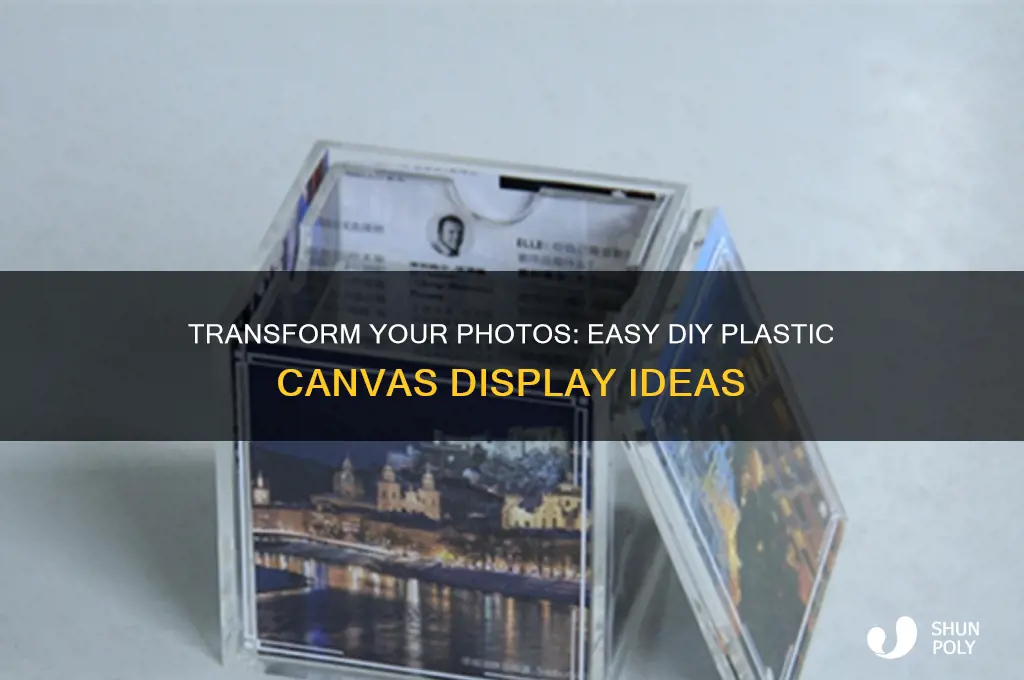 Transform Your Photos: Easy Diy Plastic Canvas Display Ideas | ShunPoly