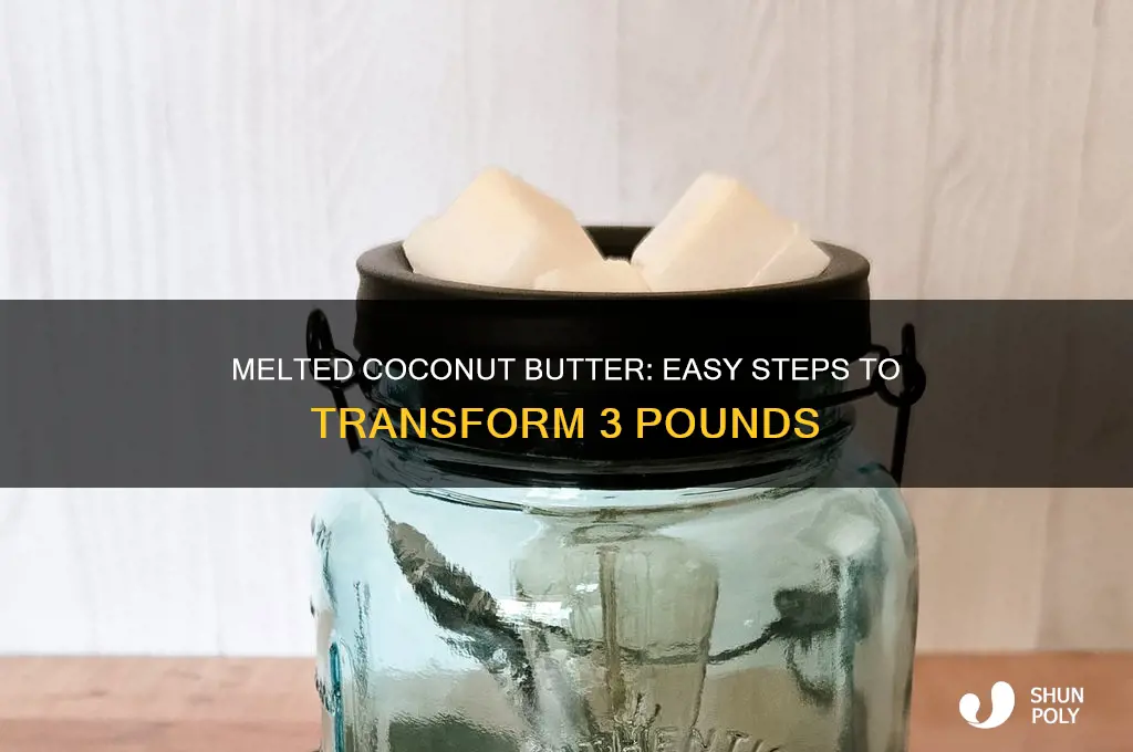 Melted Coconut Butter: Easy Steps To Transform 3 Pounds | ShunPoly