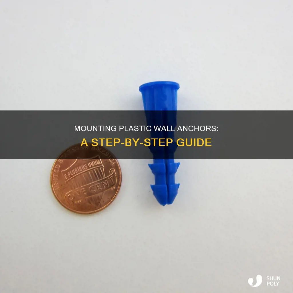 Mounting Plastic Wall Anchors: A Step-By-Step Guide | ShunPoly