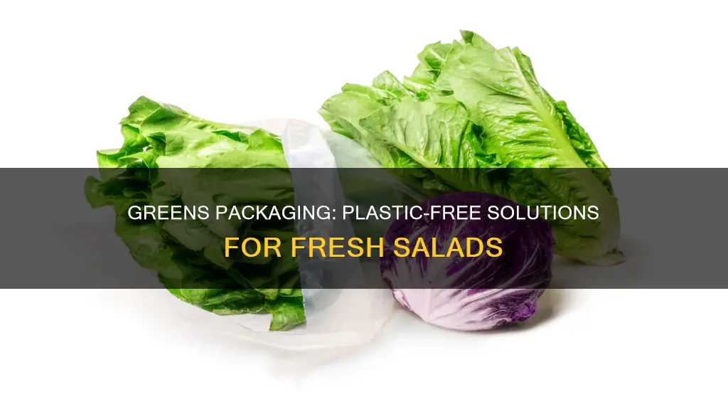 Greens Packaging: Plastic-Free Solutions For Fresh Salads | ShunPoly