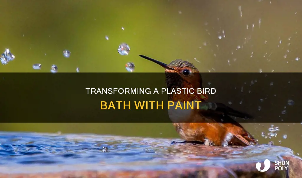 Transforming A Plastic Bird Bath With Paint | ShunPoly