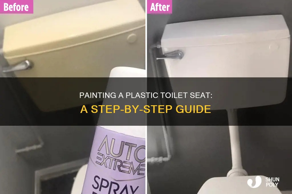 Painting A Plastic Toilet Seat: A Step-By-Step Guide | ShunPoly