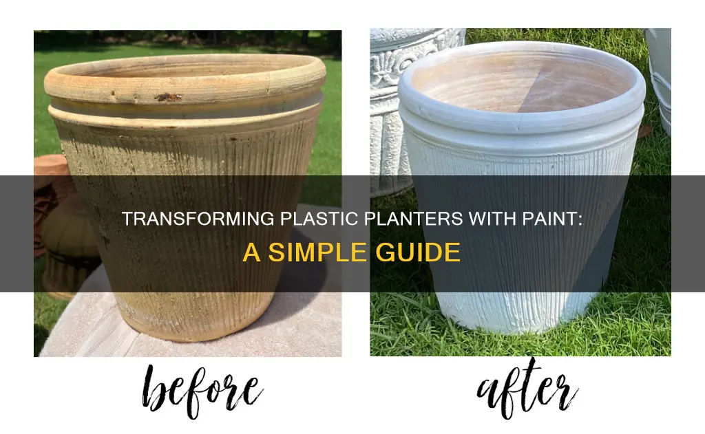 Transforming Plastic Planters With Paint: A Simple Guide | ShunPoly
