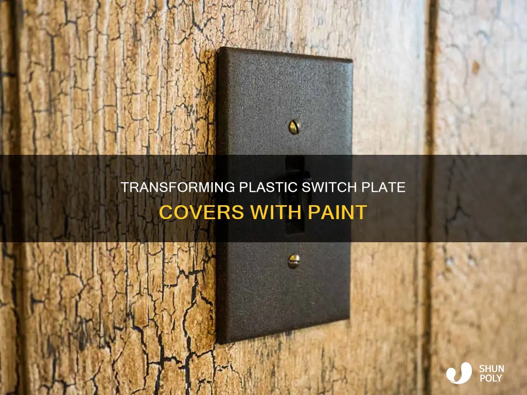 Transforming Plastic Switch Plate Covers With Paint | ShunPoly