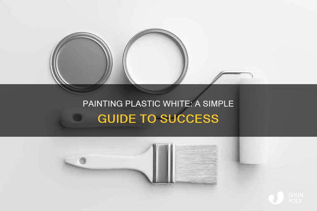 Painting Plastic White: A Simple Guide To Success | ShunPoly