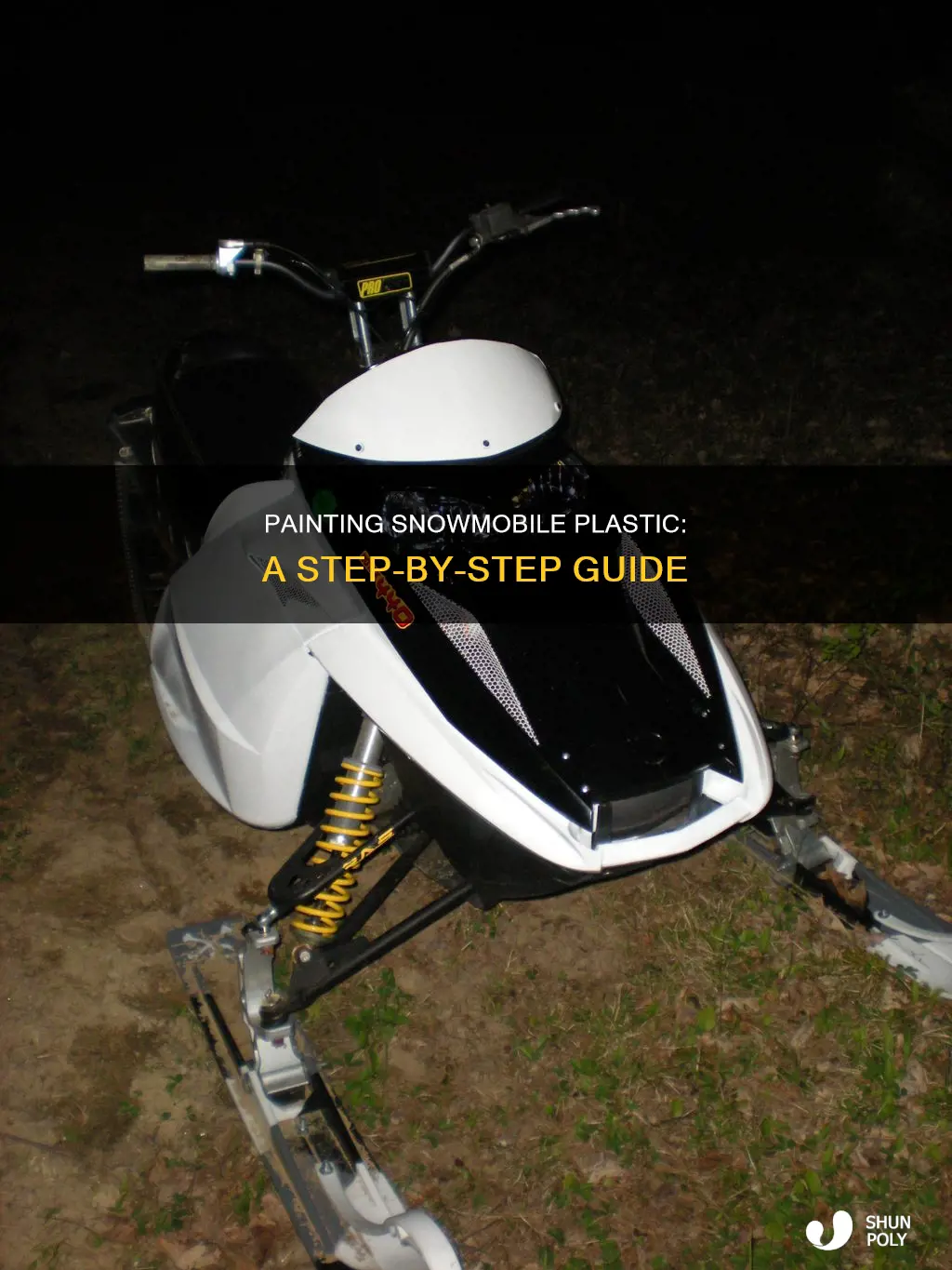 Painting Snowmobile Plastic: A Step-By-Step Guide | ShunPoly