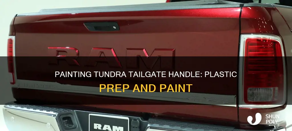 Painting Tundra Tailgate Handle: Plastic Prep And Paint | ShunPoly
