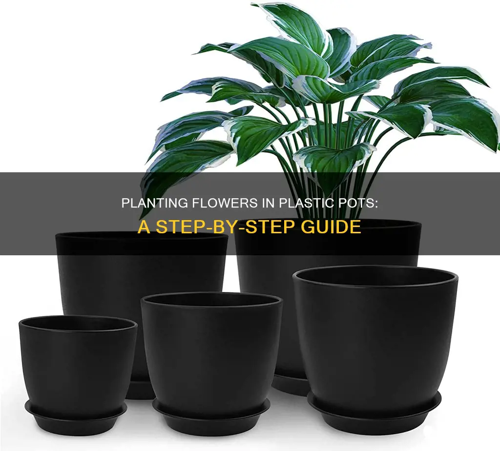 Planting Flowers In Plastic Pots: A Step-By-Step Guide | ShunPoly