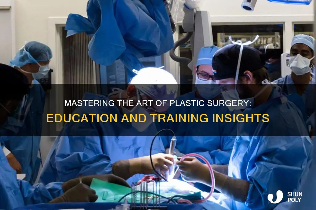 Mastering The Art Of Plastic Surgery: Education And Training Insights ...