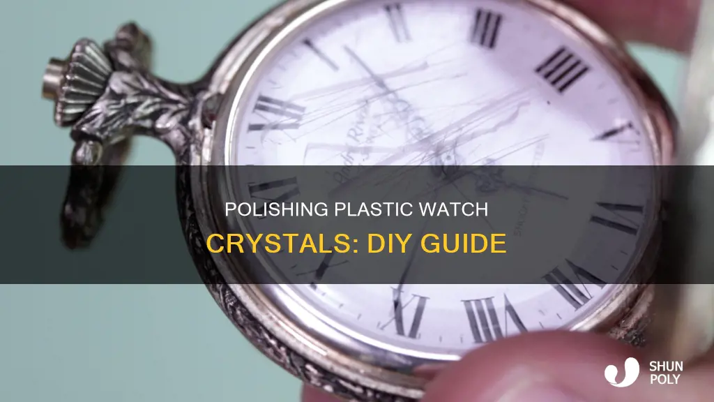 Polishing Plastic Watch Crystals: Diy Guide | ShunPoly