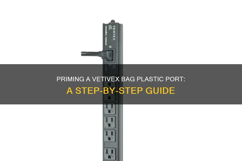 Priming A Vetivex Bag Plastic Port: A Step-By-Step Guide | ShunPoly