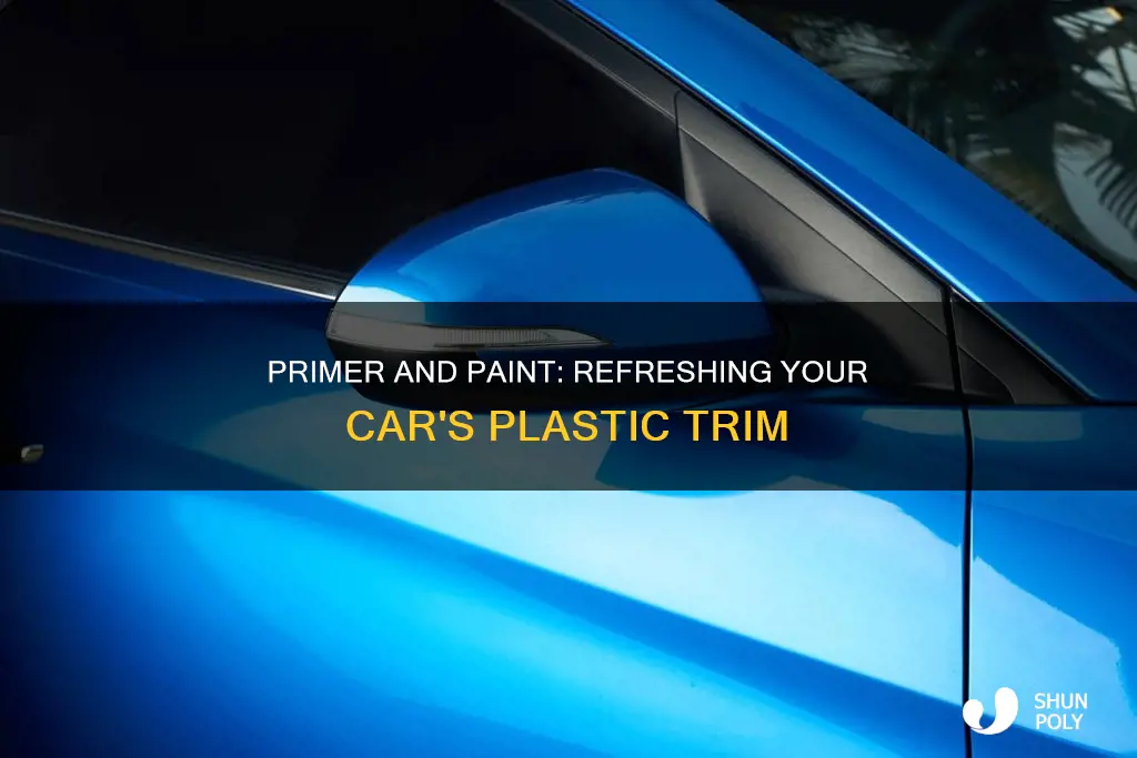 Primer And Paint: Refreshing Your Car's Plastic Trim | ShunPoly