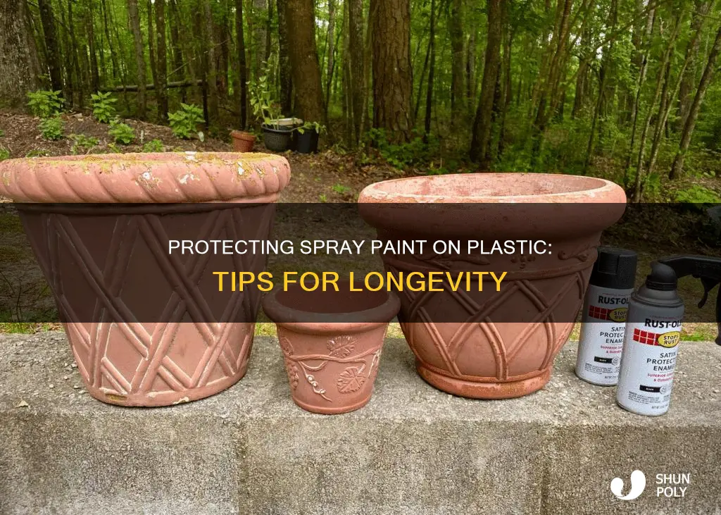 Protecting Spray Paint On Plastic: Tips For Longevity | ShunPoly