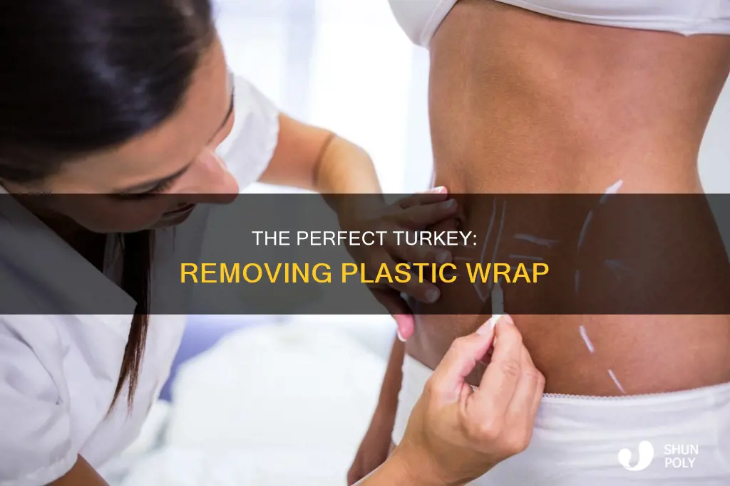 The Perfect Turkey: Removing Plastic Wrap | ShunPoly