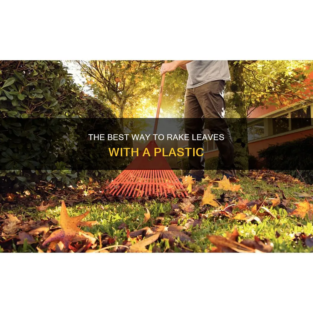 The Best Way To Rake Leaves With A Plastic | ShunPoly