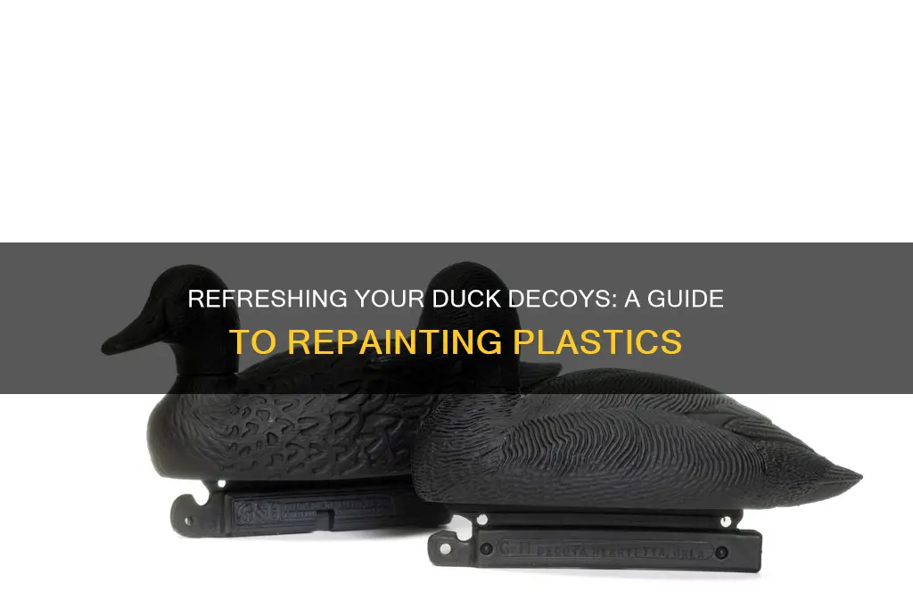 Refreshing Your Duck Decoys: A Guide To Repainting Plastics | ShunPoly