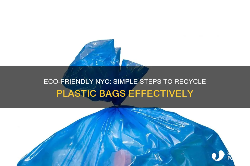 Eco-Friendly Nyc: Simple Steps To Recycle Plastic Bags Effectively ...