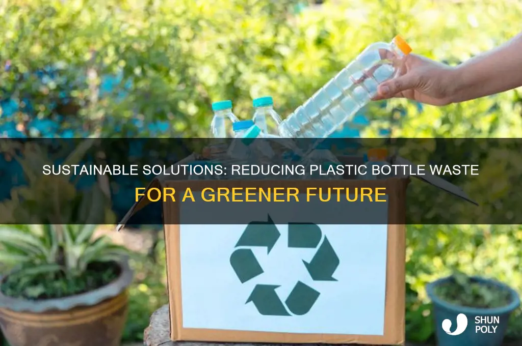 Sustainable Solutions: Reducing Plastic Bottle Waste For A Greener ...