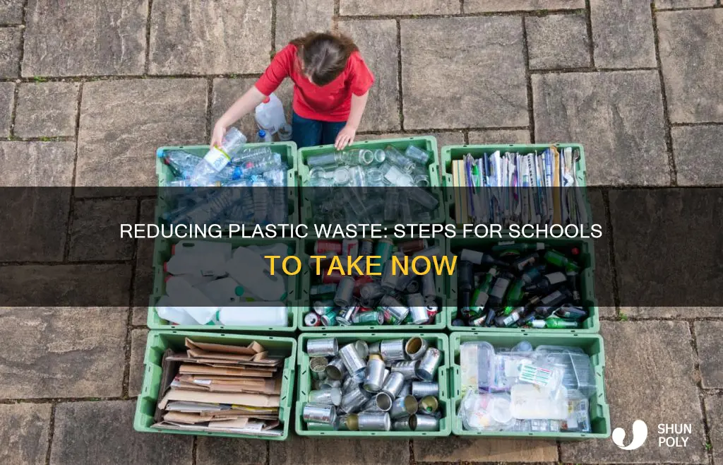 Reducing Plastic Waste: Steps For Schools To Take Now | ShunPoly