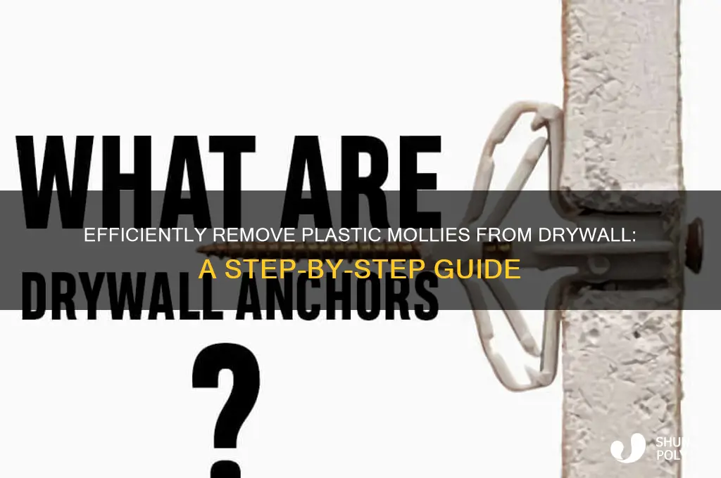 Efficiently Remove Plastic Mollies From Drywall: A Step-By-Step Guide ...
