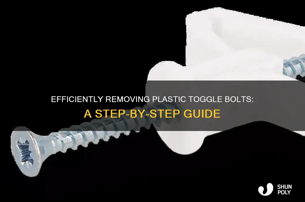Efficiently Removing Plastic Toggle Bolts: A Step-By-Step Guide | ShunPoly