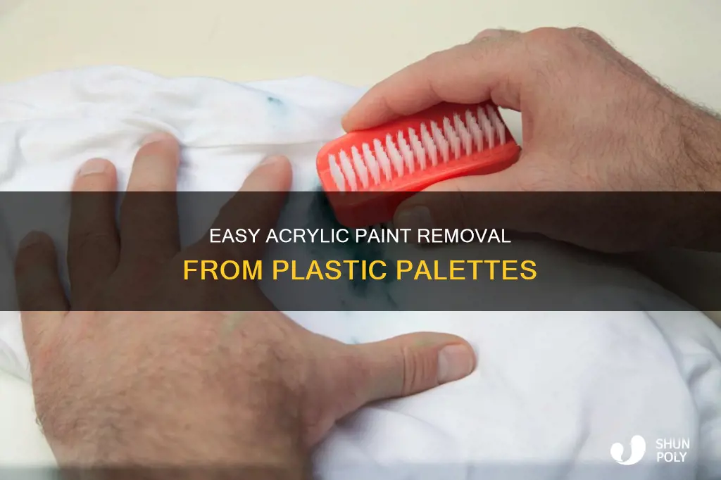 Easy Acrylic Paint Removal From Plastic Palettes | ShunPoly