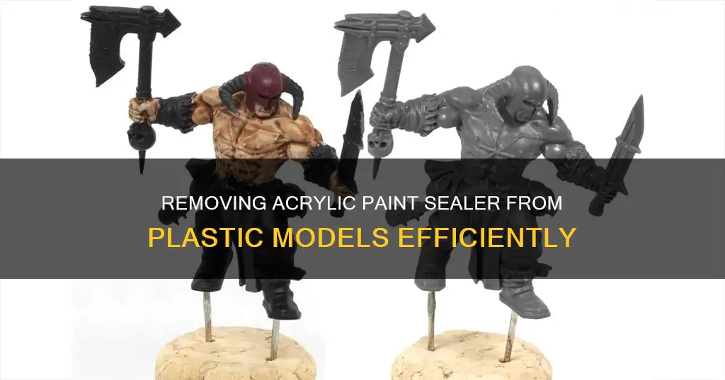 Removing Acrylic Paint Sealer From Plastic Models Efficiently | ShunPoly