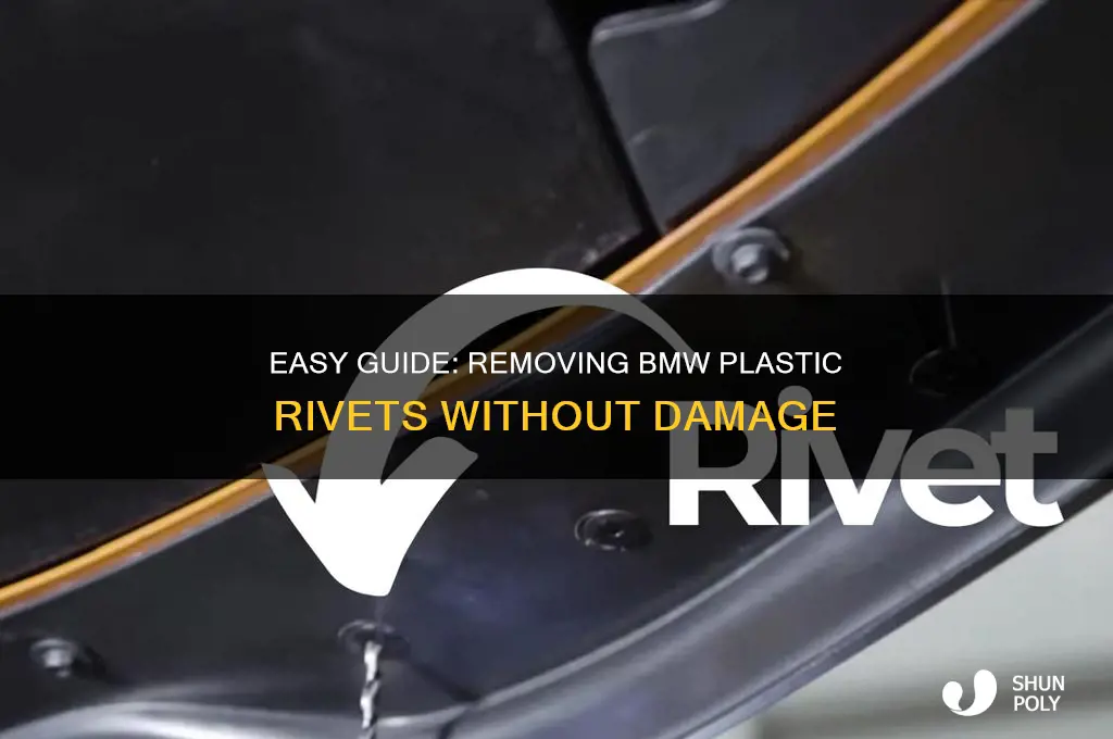 Easy Guide: Removing Bmw Plastic Rivets Without Damage | ShunPoly