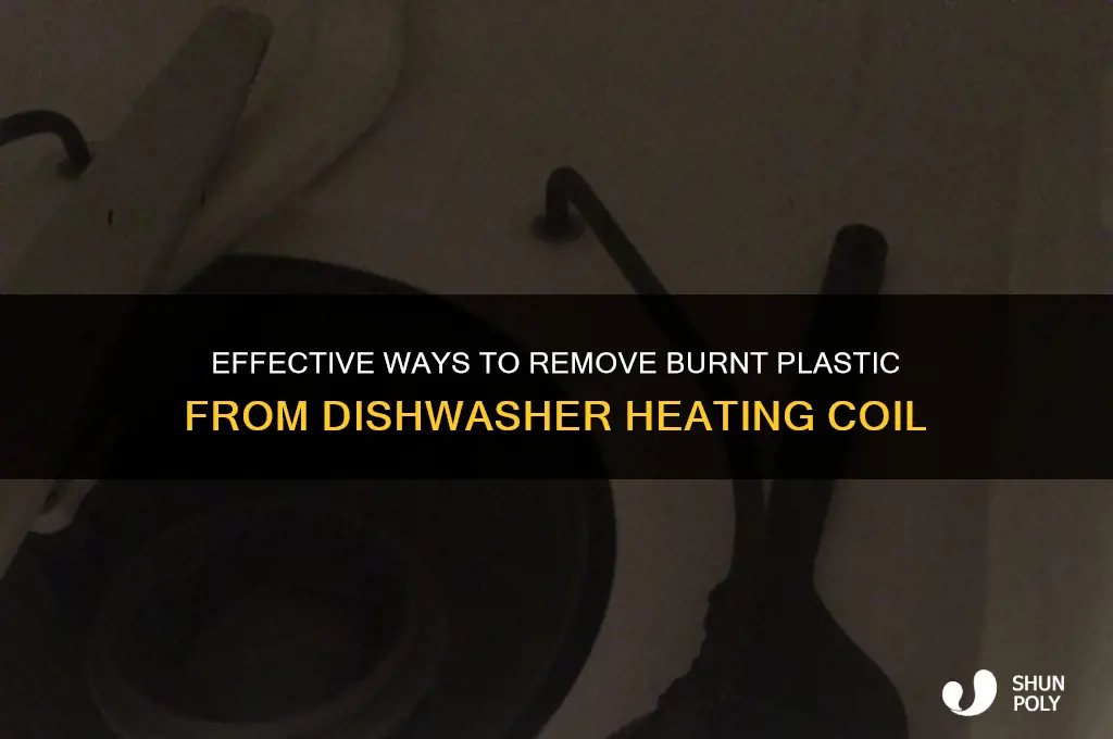 Effective Ways To Remove Burnt Plastic From Dishwasher Heating Coil ...