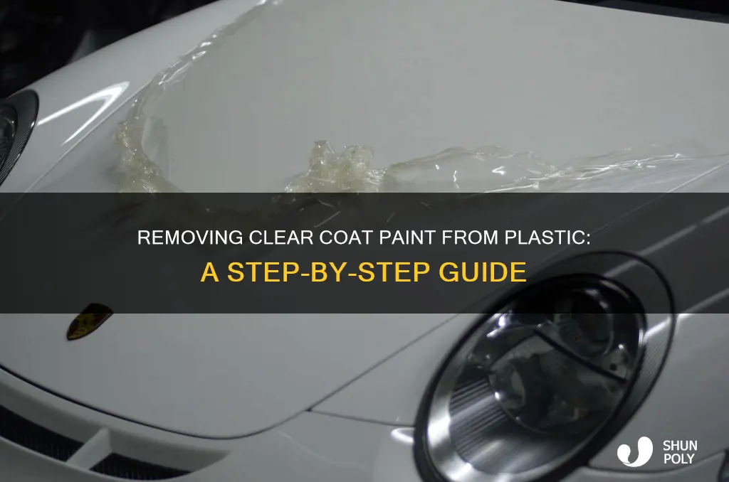 Removing Clear Coat Paint From Plastic: A Step-By-Step Guide | ShunPoly