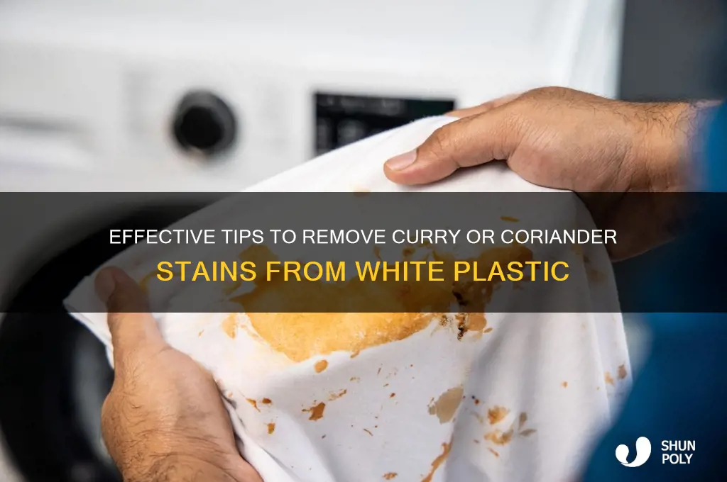 Effective Tips To Remove Curry Or Coriander Stains From White Plastic ...