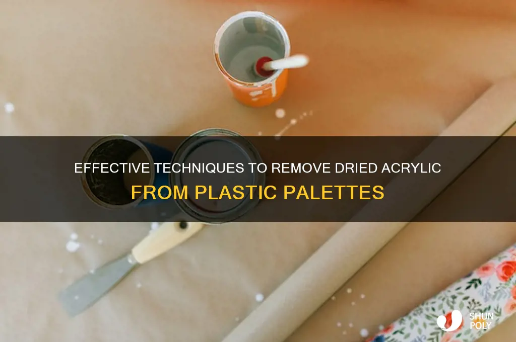 Effective Techniques To Remove Dried Acrylic From Plastic Palettes ...