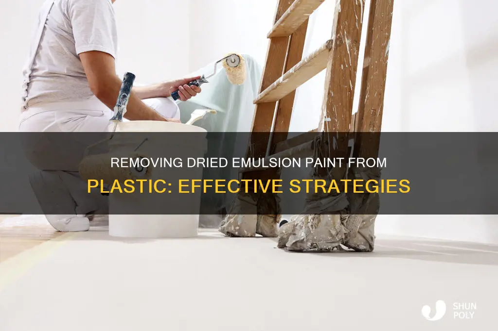 Removing Dried Emulsion Paint From Plastic: Effective Strategies | ShunPoly