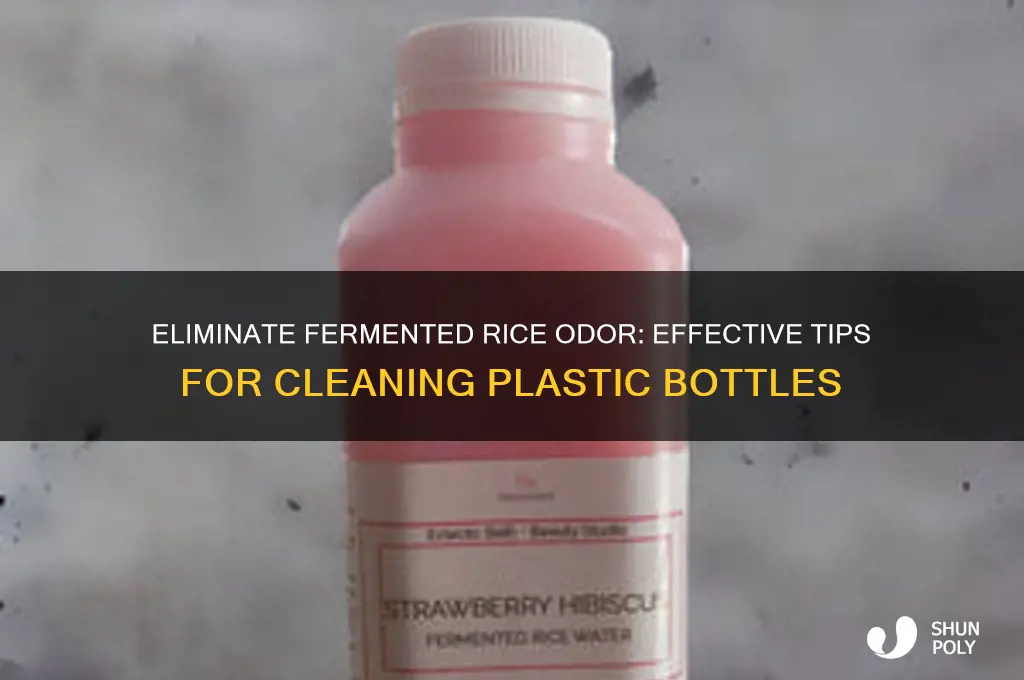 Eliminate Fermented Rice Odor: Effective Tips For Cleaning Plastic ...