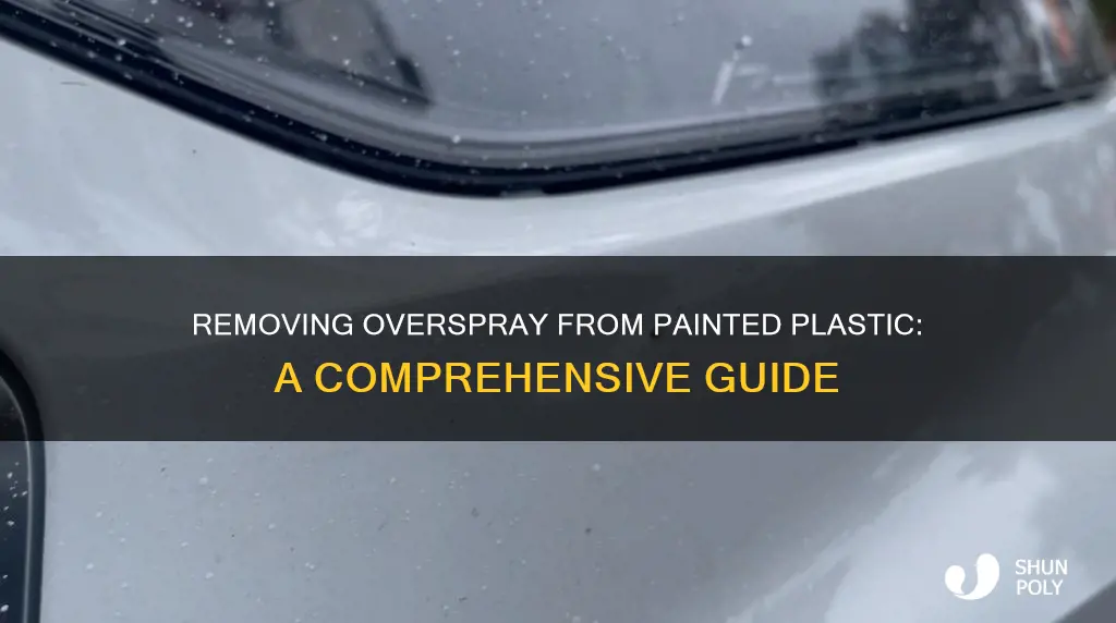 Removing Overspray From Painted Plastic: A Comprehensive Guide | ShunPoly