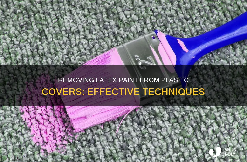 Removing Latex Paint From Plastic Covers: Effective Techniques | ShunPoly