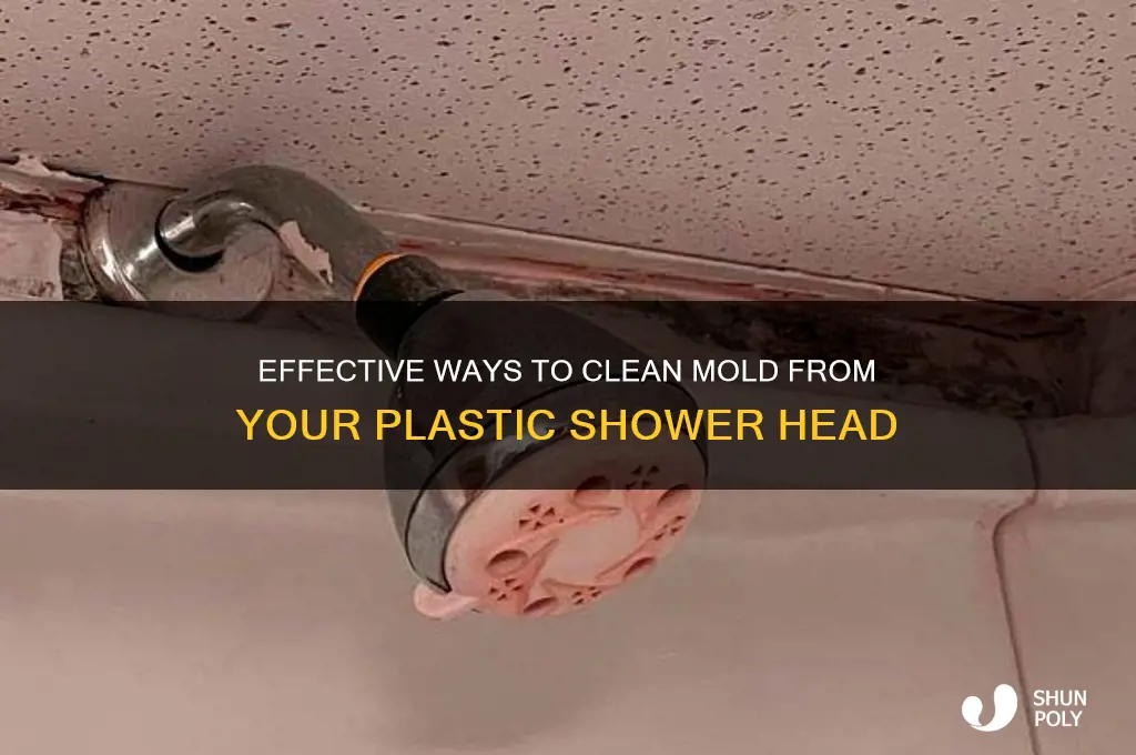 How To Clean Mold From Plastic