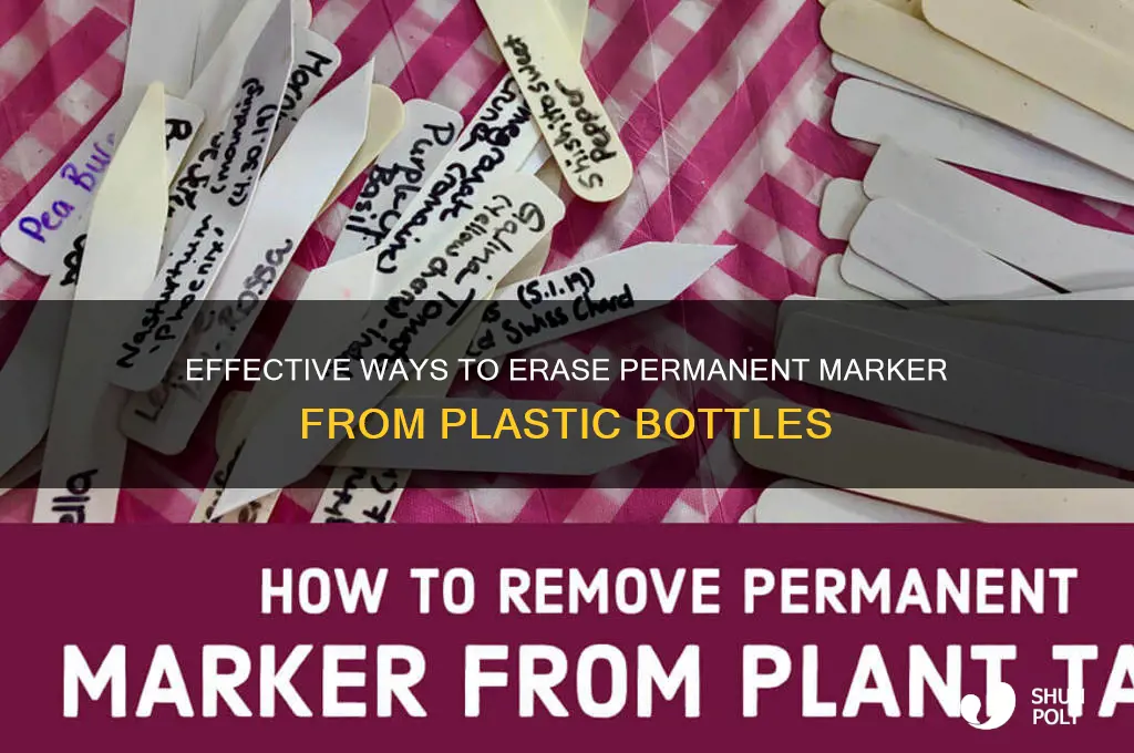 Effective Ways To Erase Permanent Marker From Plastic Bottles | ShunPoly