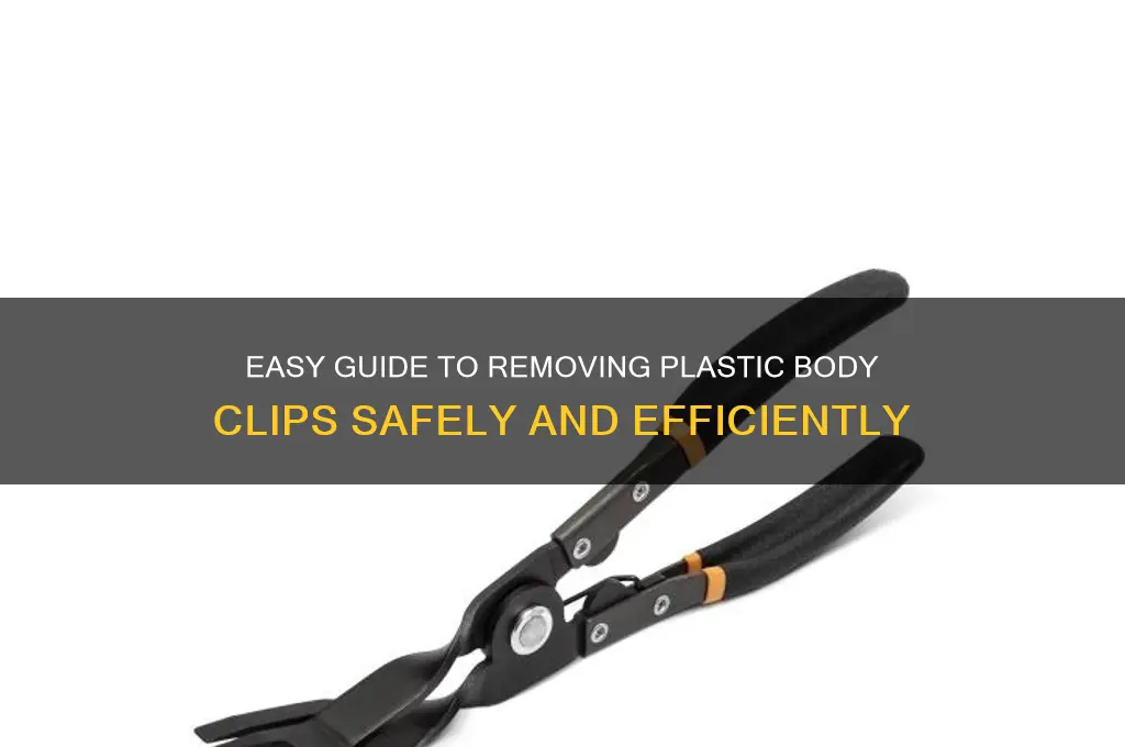 Easy Guide To Removing Plastic Body Clips Safely And Efficiently | ShunPoly