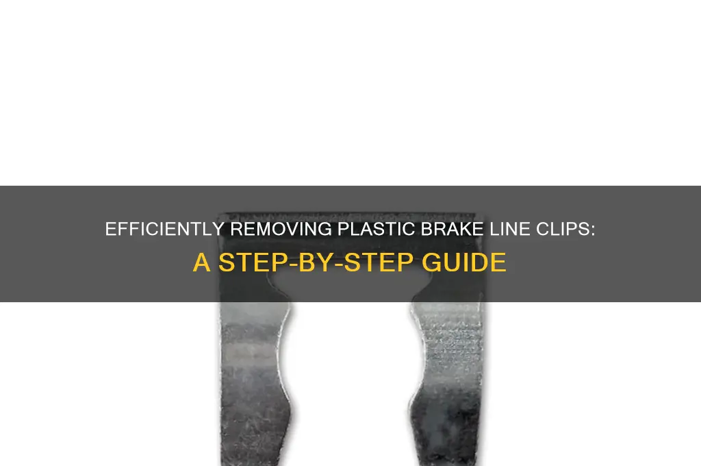 Efficiently Removing Plastic Brake Line Clips: A Step-By-Step Guide ...