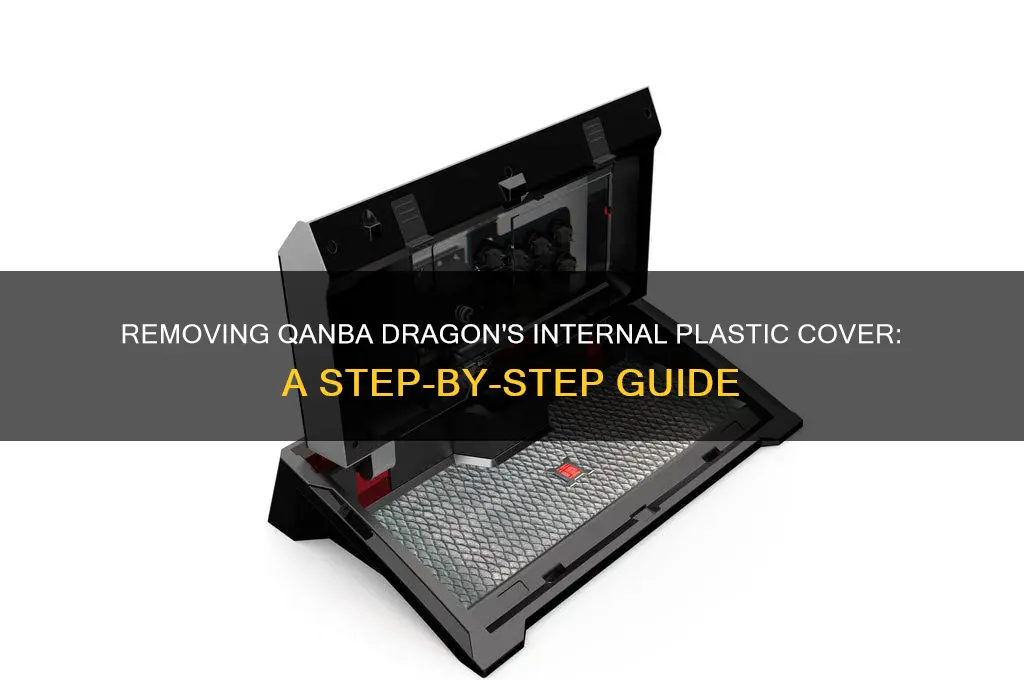 Removing Qanba Dragon's Internal Plastic Cover: A Step-By-Step Guide ...