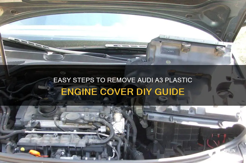 Easy Steps To Remove Audi A3 Plastic Engine Cover Diy Guide | ShunPoly