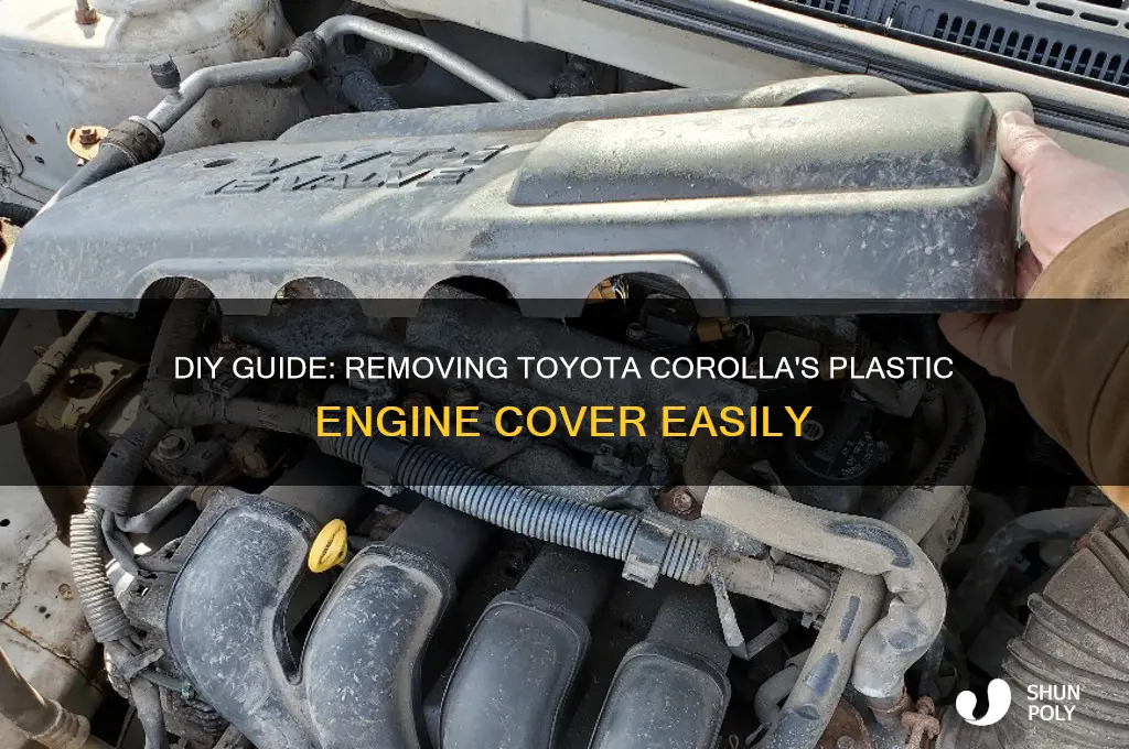 Diy Guide: Removing Toyota Corolla's Plastic Engine Cover Easily | ShunPoly