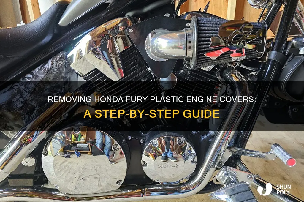 Removing Honda Fury Plastic Engine Covers: A Step-By-Step Guide | ShunPoly