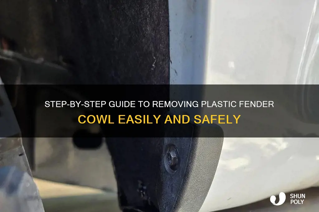 Step-By-Step Guide To Removing Plastic Fender Cowl Easily And Safely ...