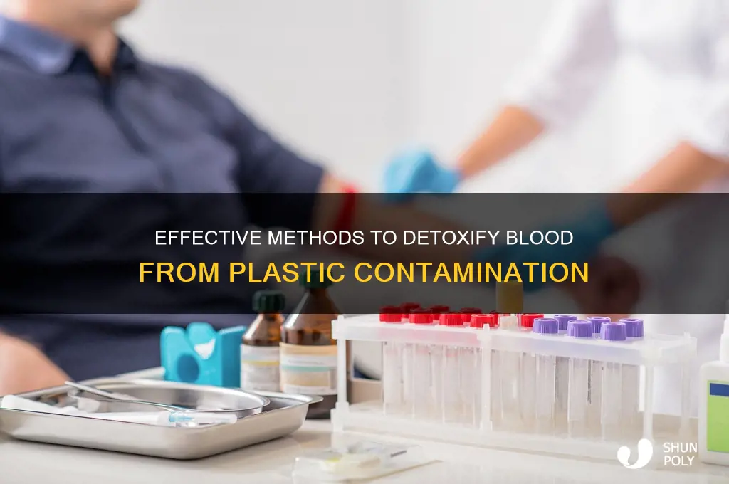 Effective Methods To Detoxify Blood From Plastic Contamination | ShunPoly