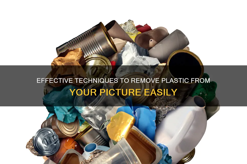 Effective Techniques To Remove Plastic From Your Picture Easily | ShunPoly